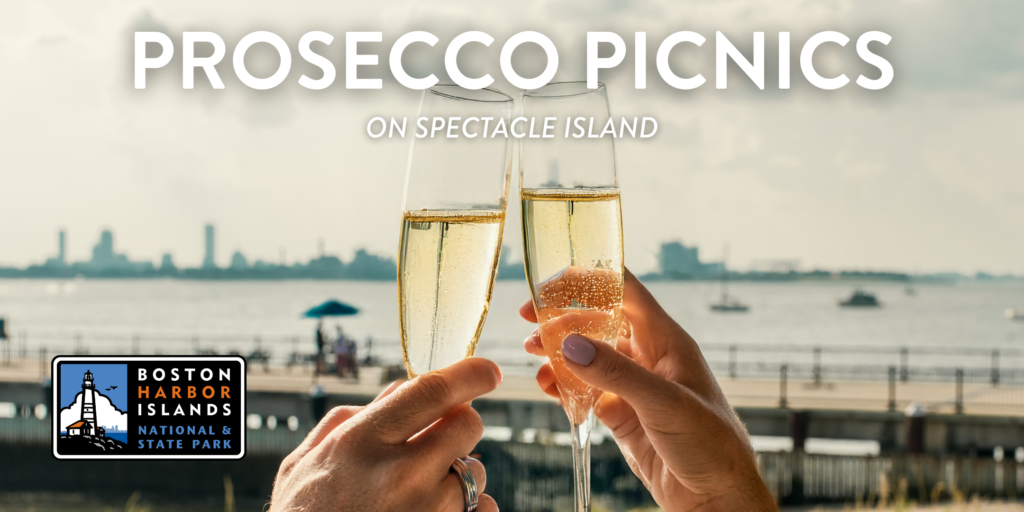 Prosecco Picnic on Spectacle Island - Boston Harbor Islands