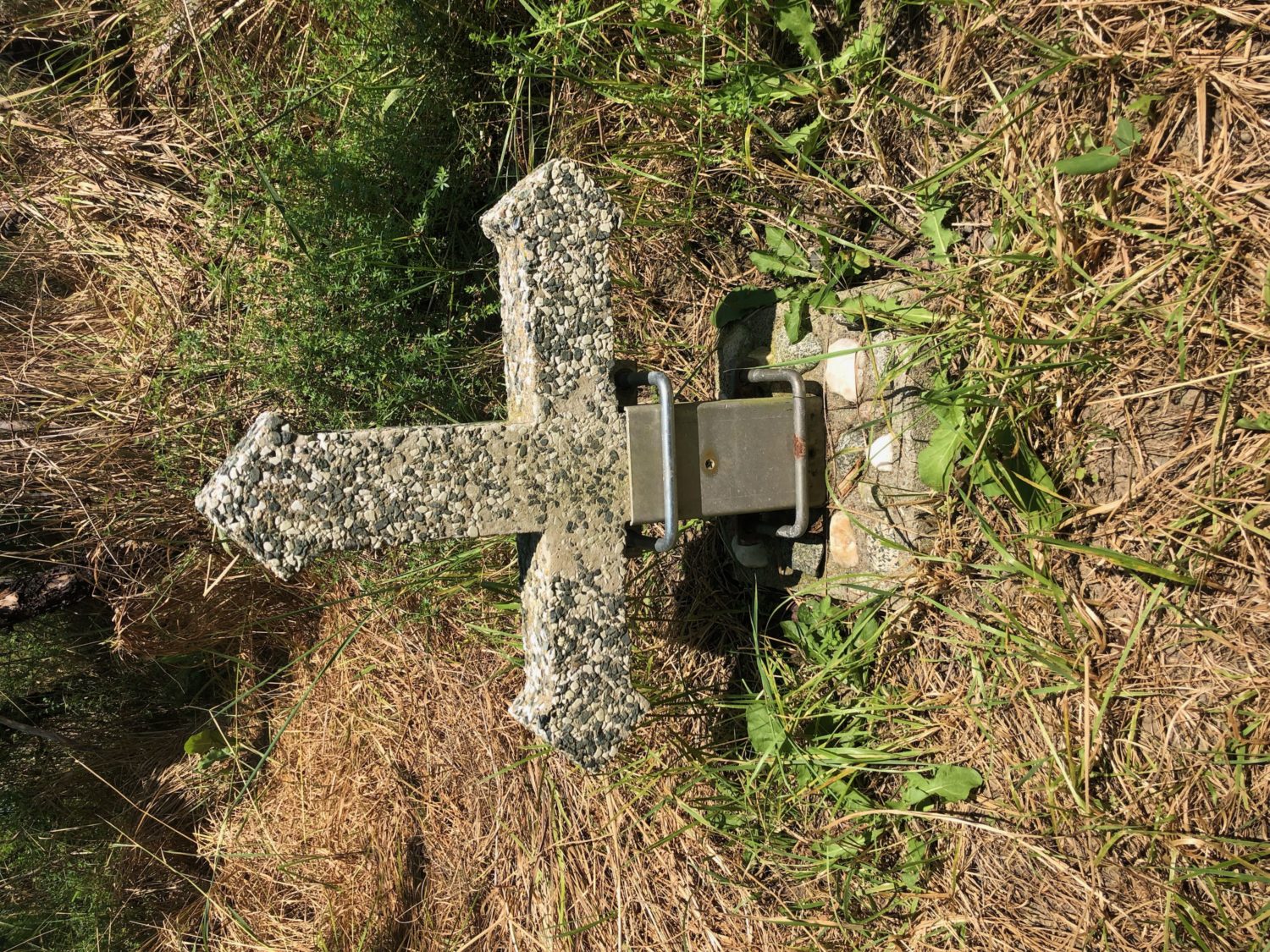Rainsford Island - Boston Harbor Islands