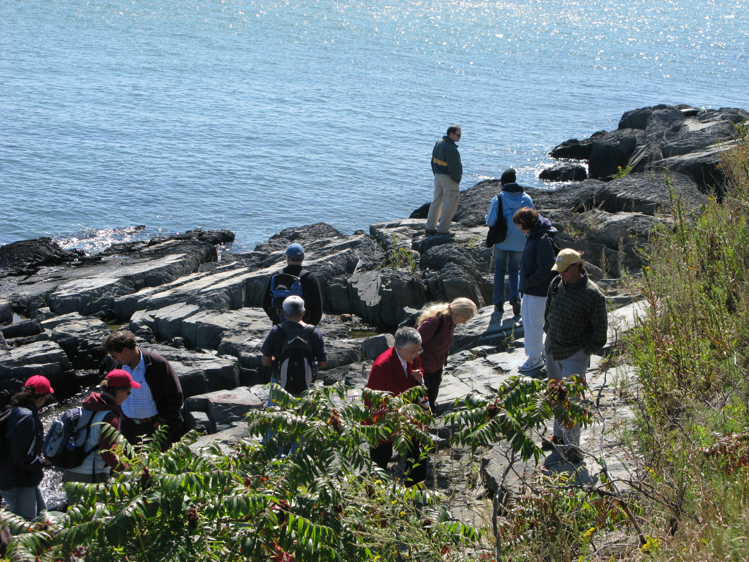 Rainsford Island Exploration - Boston Harbor Islands