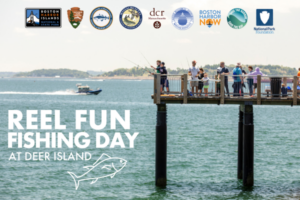 Kids and Families - Boston Harbor Islands