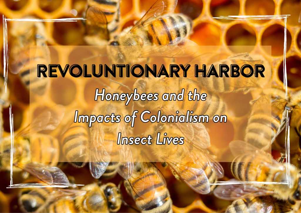 Revolutionary Harbor Lecture Series: Honeybees and the Impacts of ...