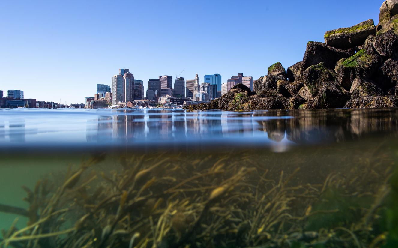 Revolutionary Harbor: The Underwater Archaeology of Boston - Boston ...