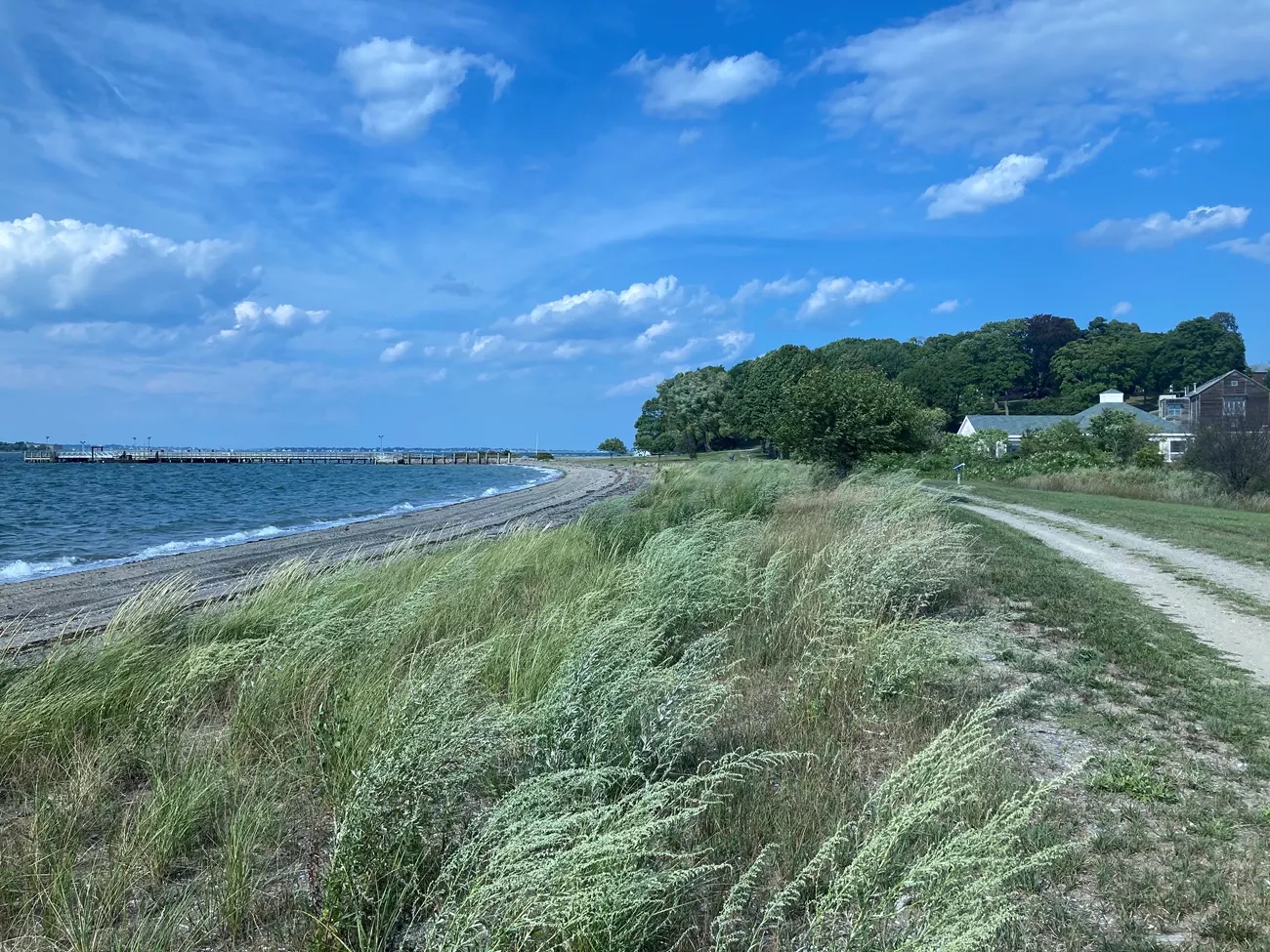 Stewardship Saturday at Thompson Island - Boston Harbor Islands