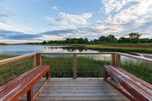 Cathleen Stone Island - Boston Harbor Islands